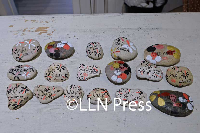 Frejas kamp mod cancer